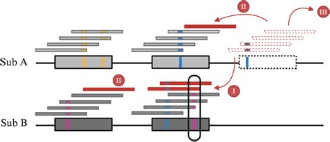 Applications In Plant Sciences