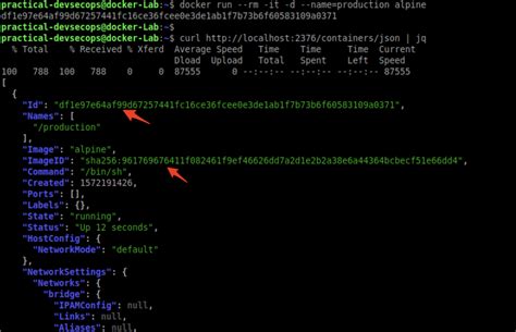 lesson 4 hacking containers like a boss practical devsecops