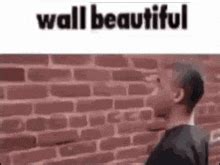 Guy Runs Into A Wall S Tenor