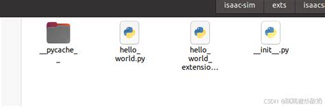 第三章、isaac Sim Python脚本（2）core Api概述及教程hello Worldisaac Sim 脚本 Csdn博客