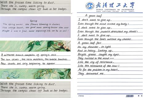 理工青年共青团武汉理工大学委员会