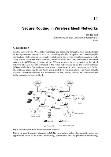 pdf secure routing in wireless mesh networks