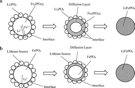 Solid State Reaction Model Of Fe3po42 With Li3po4 A And Fepo4 With