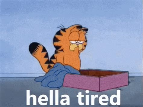 Funny Tired Cat 