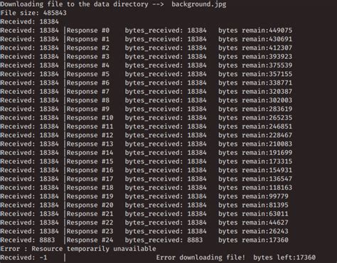 Winapi Can Not Transmit Last Packet With Recv Serverclient C File