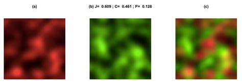 The Quantification Of The Colocalization Between The Two Concentrations