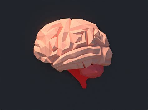 Papercraft Diy Brain Papercraft 3d Brain Dxf Human Brain Drawing 3d