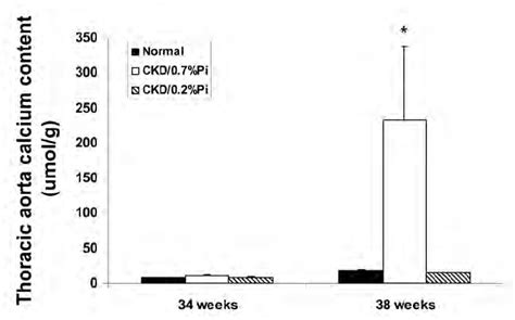 Thoracic Aorta Calcification Download Scientific Diagram
