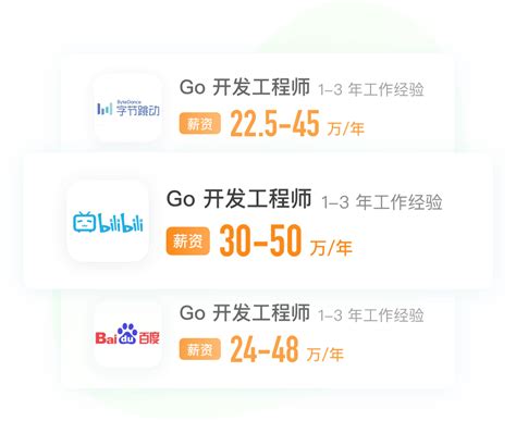 极客时间训练营 Go 实战训练营 尚硅谷