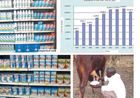 Dumping Of Poor Quality Andor Unwholesome Food To Rapidly Growing Areas Noodles Onlus