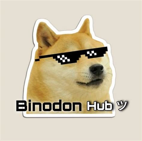 Binodon Hub ツ