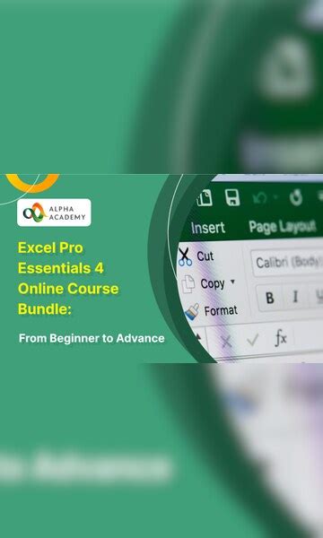 ¡comprar Excel Pro Essentials 4 Online Course Bundle Beginner To