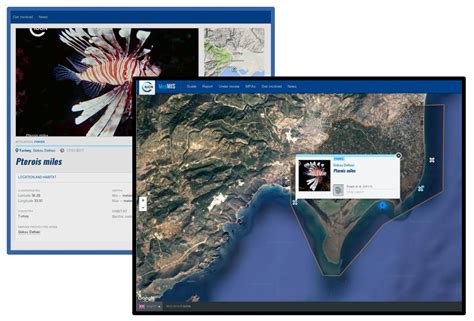 Iniciativa Medmis Jessica Bernal