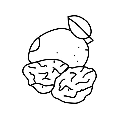 Prune Plum Line Icon Vector Illustration 19576311 Vector Art At Vecteezy