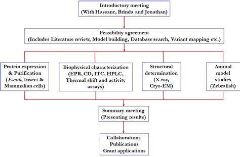 Workflow Molecular Basis Of Genetic Diseases Vanderbilt University
