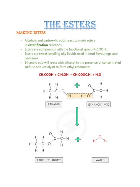 Esterification Making Ethyl Ethanoate Pdf Cooking Food And Wine