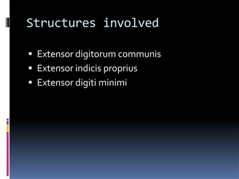 Extensor Mechanism Of Finger PPTX