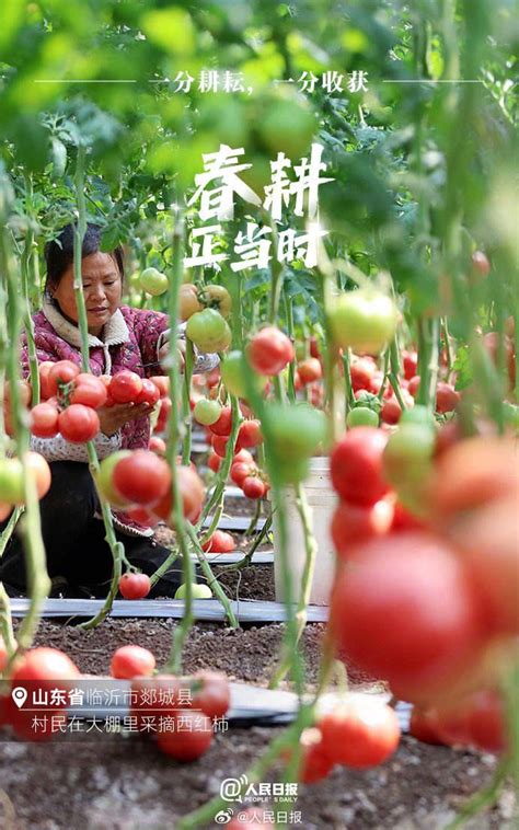 不负春光各地陆续进入春耕时节 水母网