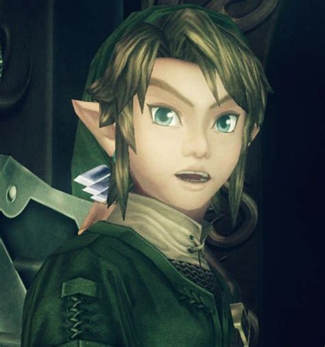 Link Twilight Princess Link Twilight Princess Zelda Twilight Princess Twilight Princess