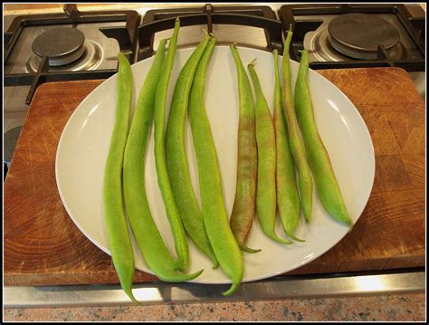 Marks Veg Plot Runner Beans A Comparison