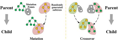 Crossover And Mutation Operations Download Scientific Diagram