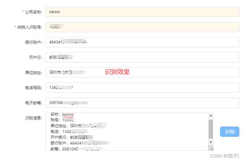Vue3中固定格式信息识别功能vue3 多行文本根据冒号识别解析数据结构 Csdn博客