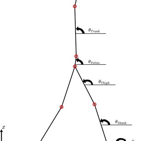 The Definition Of Rigid Body Orientations In Y Z Plane Black Lines And