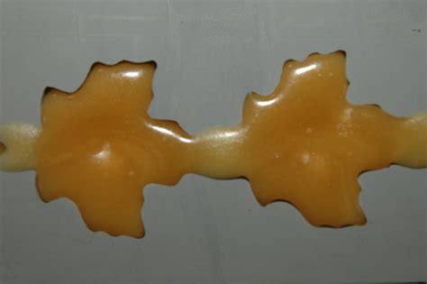 Maple Sugaring Making Soft Maple Candy Backyard Chickens Learn How To Raise Chickens