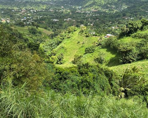 The 10 Best St Vincent And The Grenadines Sights And Landmarks