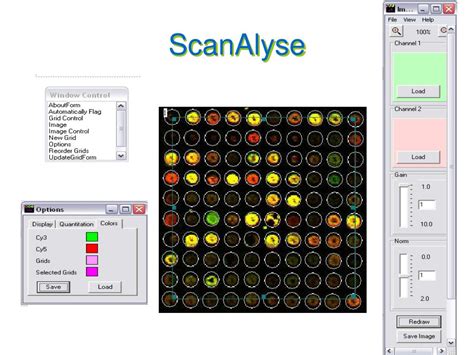 Ppt Microarray Analysis Software Powerpoint Presentation Free Download Id1105175