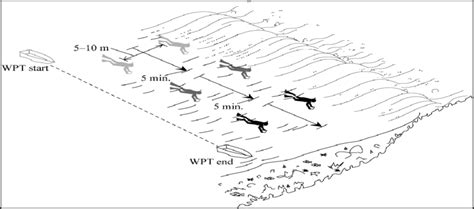 Diagram Showing The Reef Front Search Rfs Method Download Scientific Diagram
