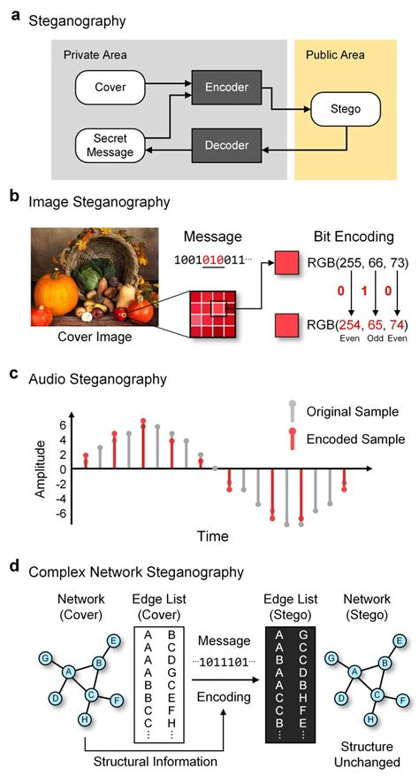 Illustration Of Steganography And Applications To Various Media
