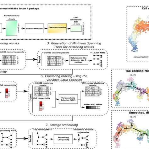 Schematic Illustration Of The Totem Workflow 1 A Gene Expression Download Scientific Diagram