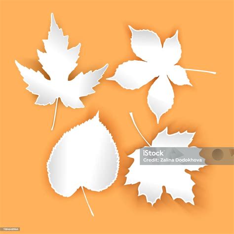 컬렉션 아름다운 단풍 오렌지 배경에 고립 그림자가 있는 흰색 잎 세트 0명에 대한 스톡 벡터 아트 및 기타 이미지 0명 10월 3차원 형태 Istock