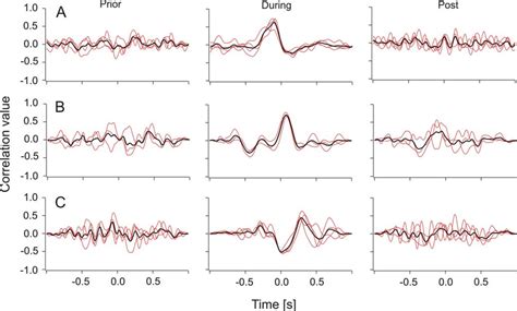 Cross Correlation Functions Red Single Traces Black Average Of
