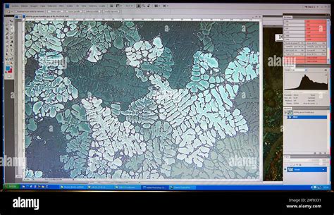 Cast Steel Structure Analysis Of Embedded Samples Optical Microscopy
