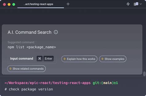 Warp How To Check The Version Of An Installed Npm Package