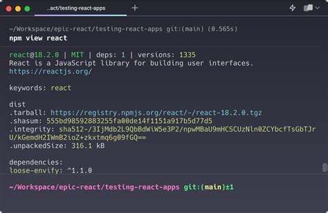 How To Check The Version Of An Installed Npm Package