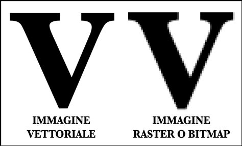 Grafica Vettoriale Raster Bitmap Definizione Differenze Applicazioni