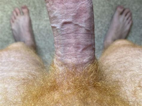 Ginger Cock Smc33