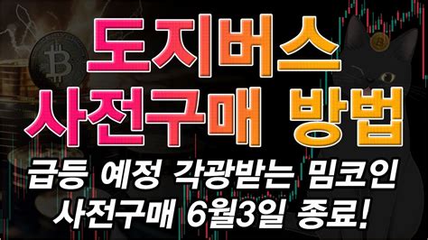 마감임박 폭등 예상하는 밈코인 도지버스 막차 놓치기 전에 사봤습니다 Youtube