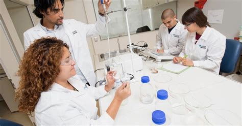 Así Surgen Científicos Chilenos Elaboran Nanopartícula Que Ayuda A