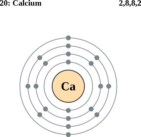 Bohr Diagram For Calcium