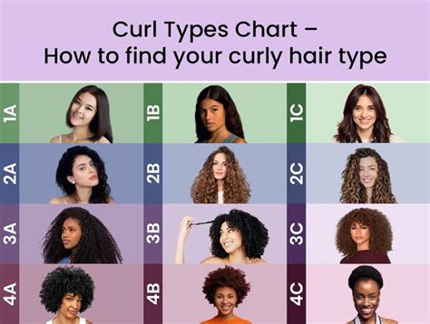 A Comprehensive Guide To Curly Hair Curly Hair Styles Curly Hair Care Hair Type Chart