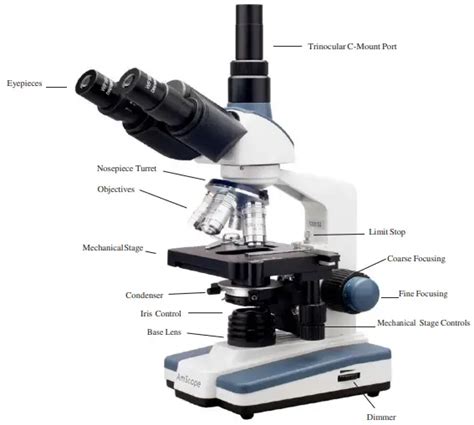 Amscope 120 Series Binocular Compound Microscope User Manual