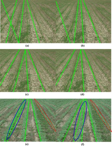 image‐based crop row detection utilizing the hough transform and dbscan clustering analysis