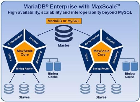 mariadb raises the bar in developer enablement and devops productivity