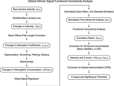 Statistical Approaches To Temporal And Spatial Autocorrelation In Resting State Functional