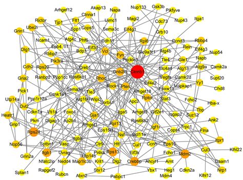network of ppis ppi networks were created using the string database