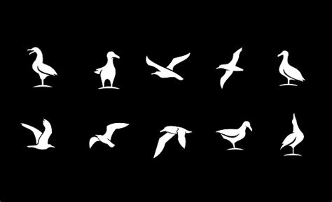 세트 컬렉션 갈매기 버드 실루엣 블랙 로고 아이콘 디자인 갈매기에 대한 스톡 벡터 아트 및 기타 이미지 갈매기 개념 개체 그룹 Istock